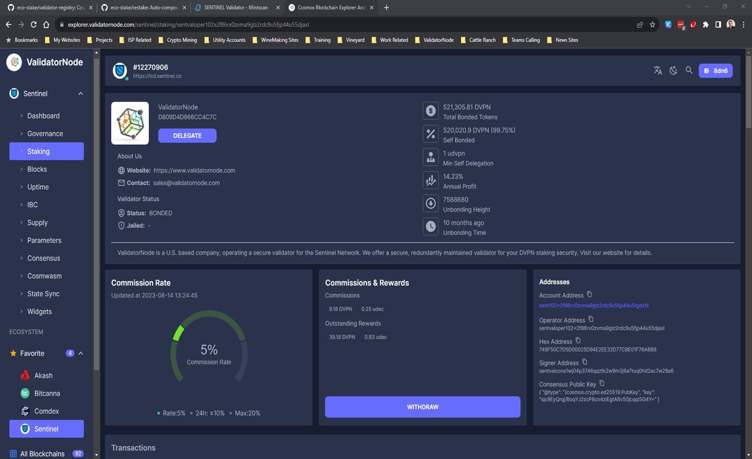 Sentinel Validator Node | ValidatorNode